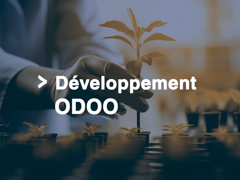 Développement de Modules Odoo sur Mesure en Tunisie - BIZUP