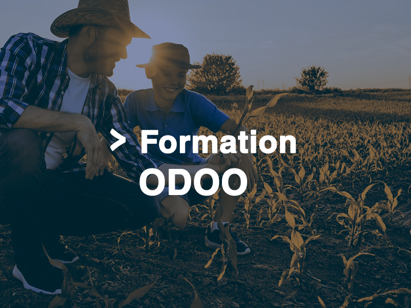 Formation Odoo en Tunisie - Programmes Complets par BIZUP